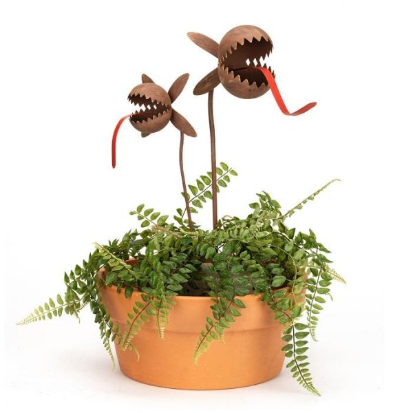 Carnivorous Rust Plant - Sproutwell Decor