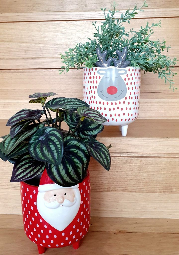 Santa & Reindeer Pots - Sproutwell Decor