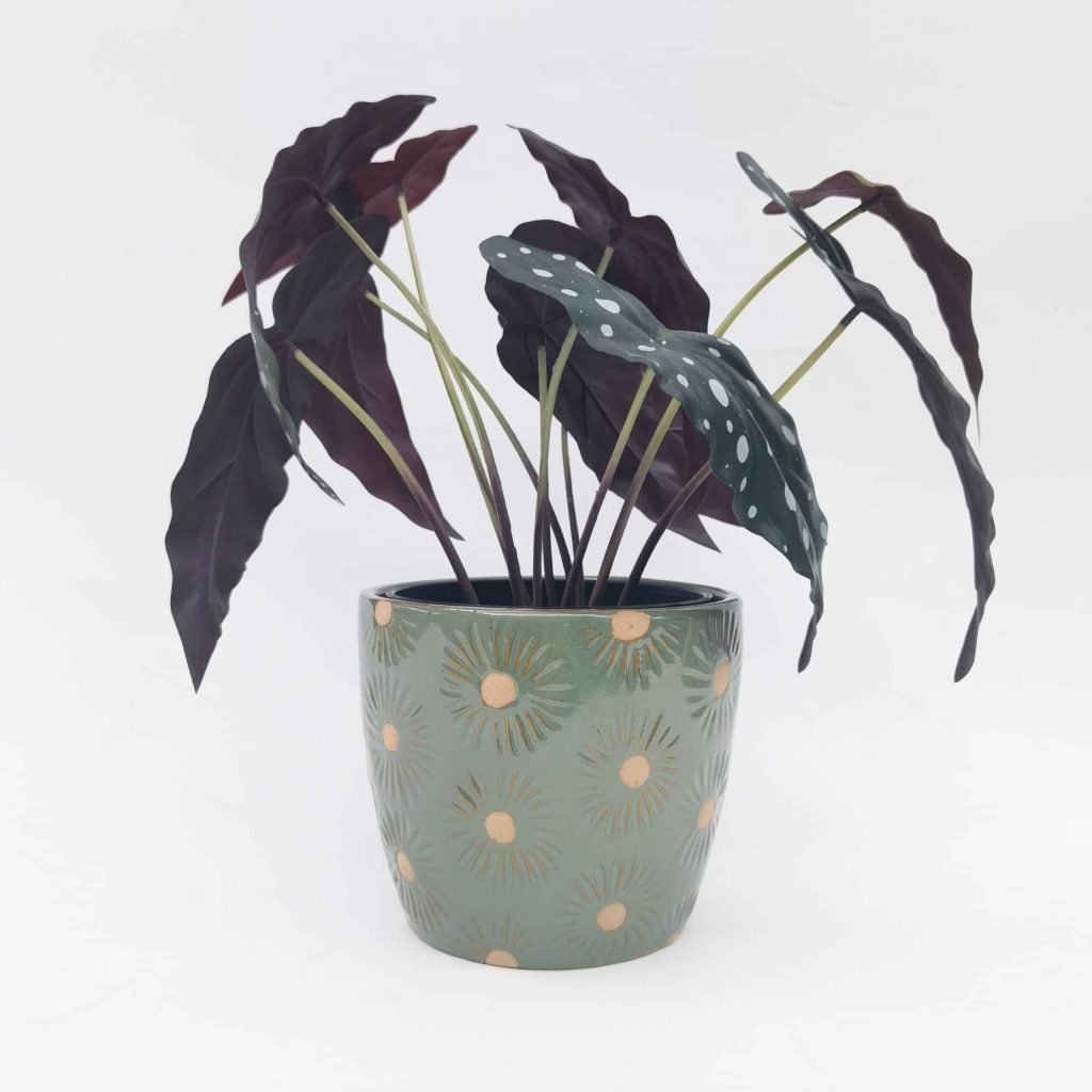 Embossed Daisy Planter Turquoise 14cm - Sproutwell Decor