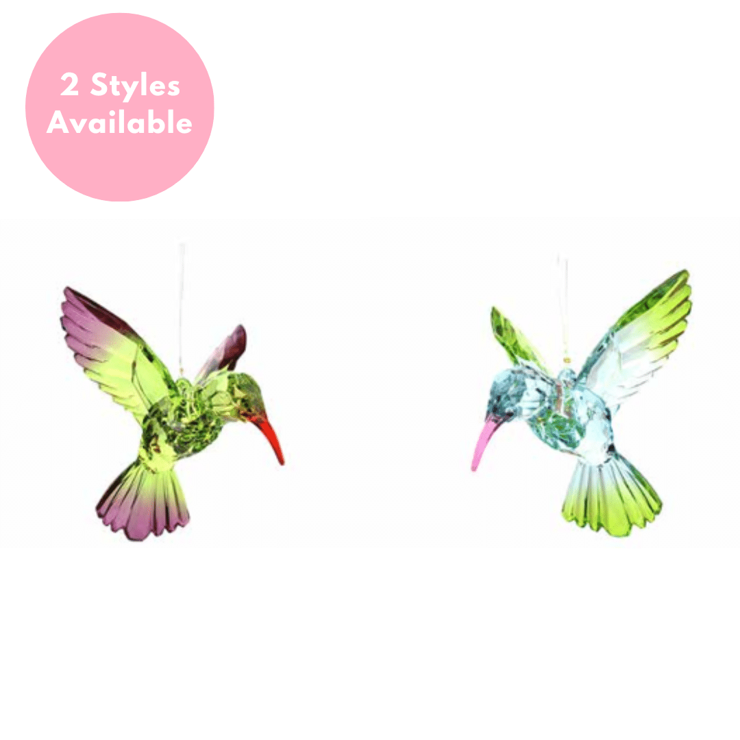 Acrylic Crystal Hummingbird Sun Catcher - Sproutwell Decor