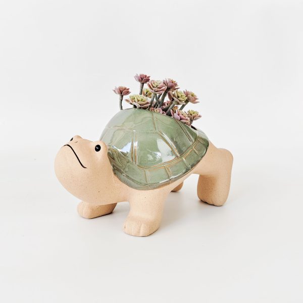 Large Turtle Pot Hanger / Planter - Sproutwell Decor