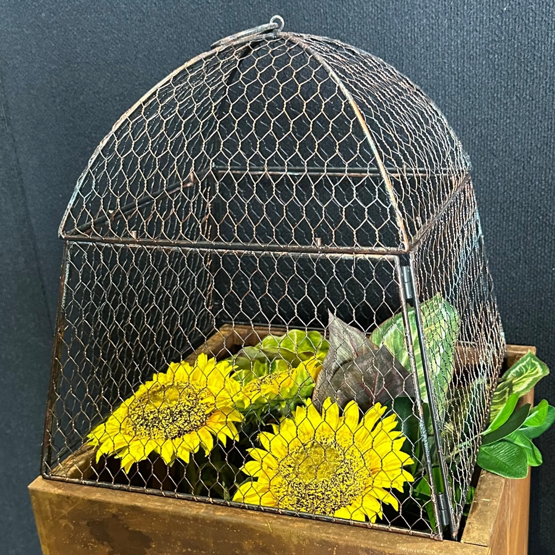 Square Style Cloche - Sproutwell Decor